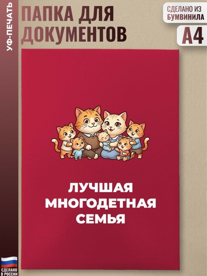 Красная папка "Лучшая многодетная семья"