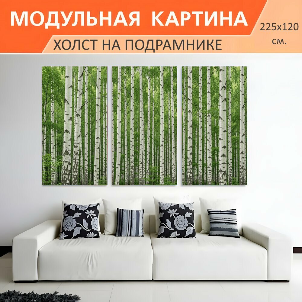 Модульная картина на холсте "Березовая роща летом. Светлый лес с высокими белыми стволами и густой молодой зеленью, природный пейзаж." триптих на подрамнике 225х120 см. для интерьера
