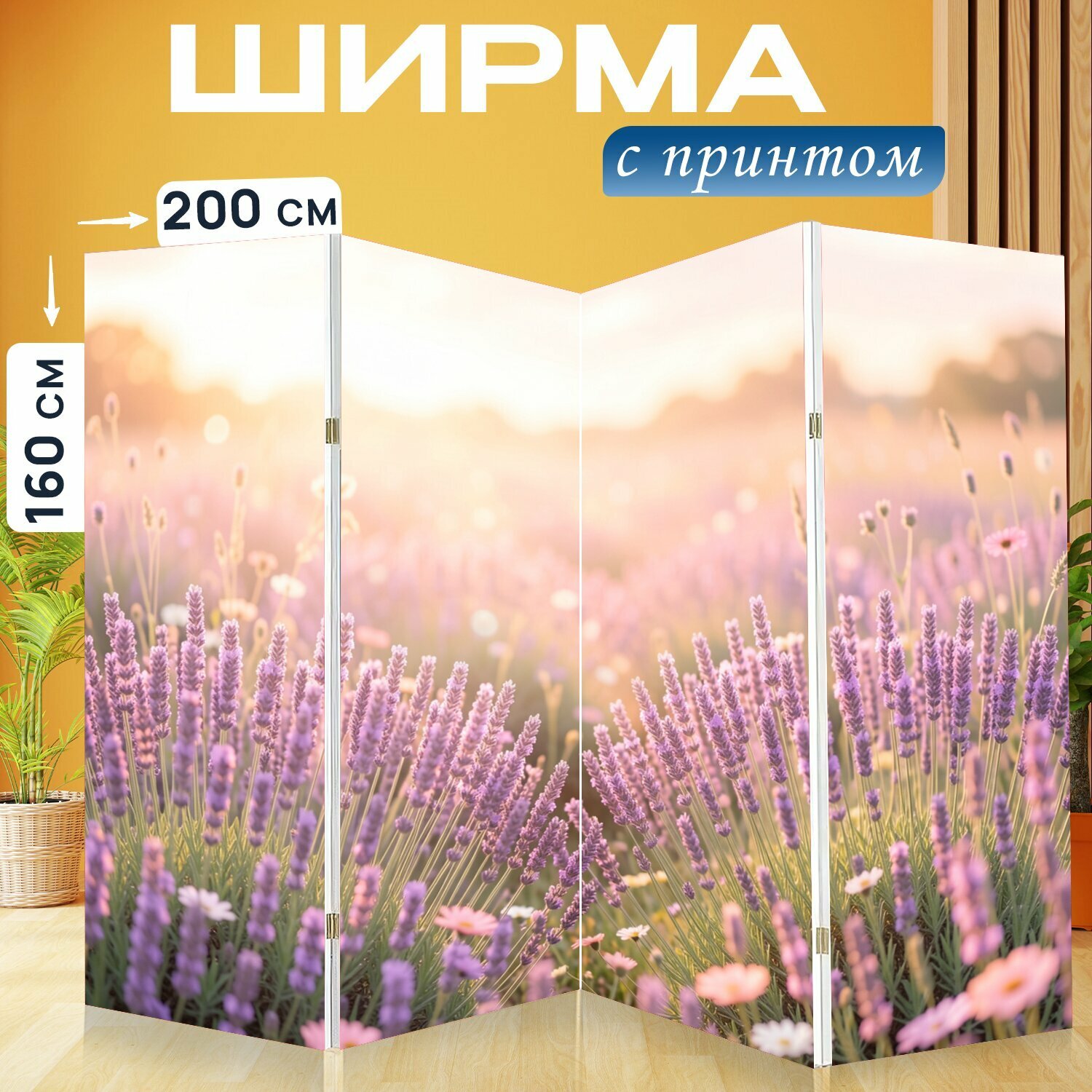 Ширма "Поле лаванды в мягком свете. Нежный цветущий луг с сиреневыми колосками и ромашками в розово-золотистой." перегородка для зонирования комнаты с принтом 200x160 см. на холсте