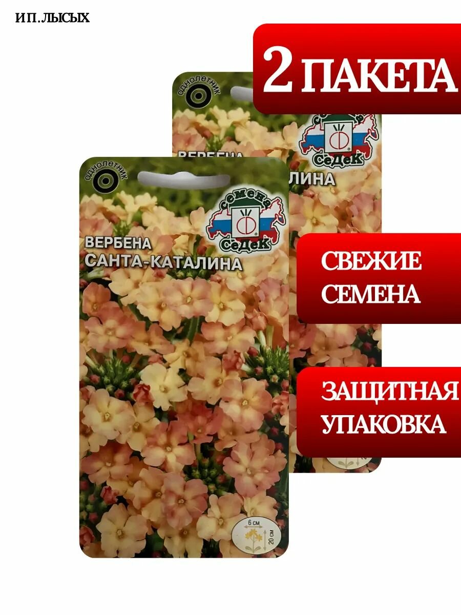 Семена Вербена "Санта-Каталина"