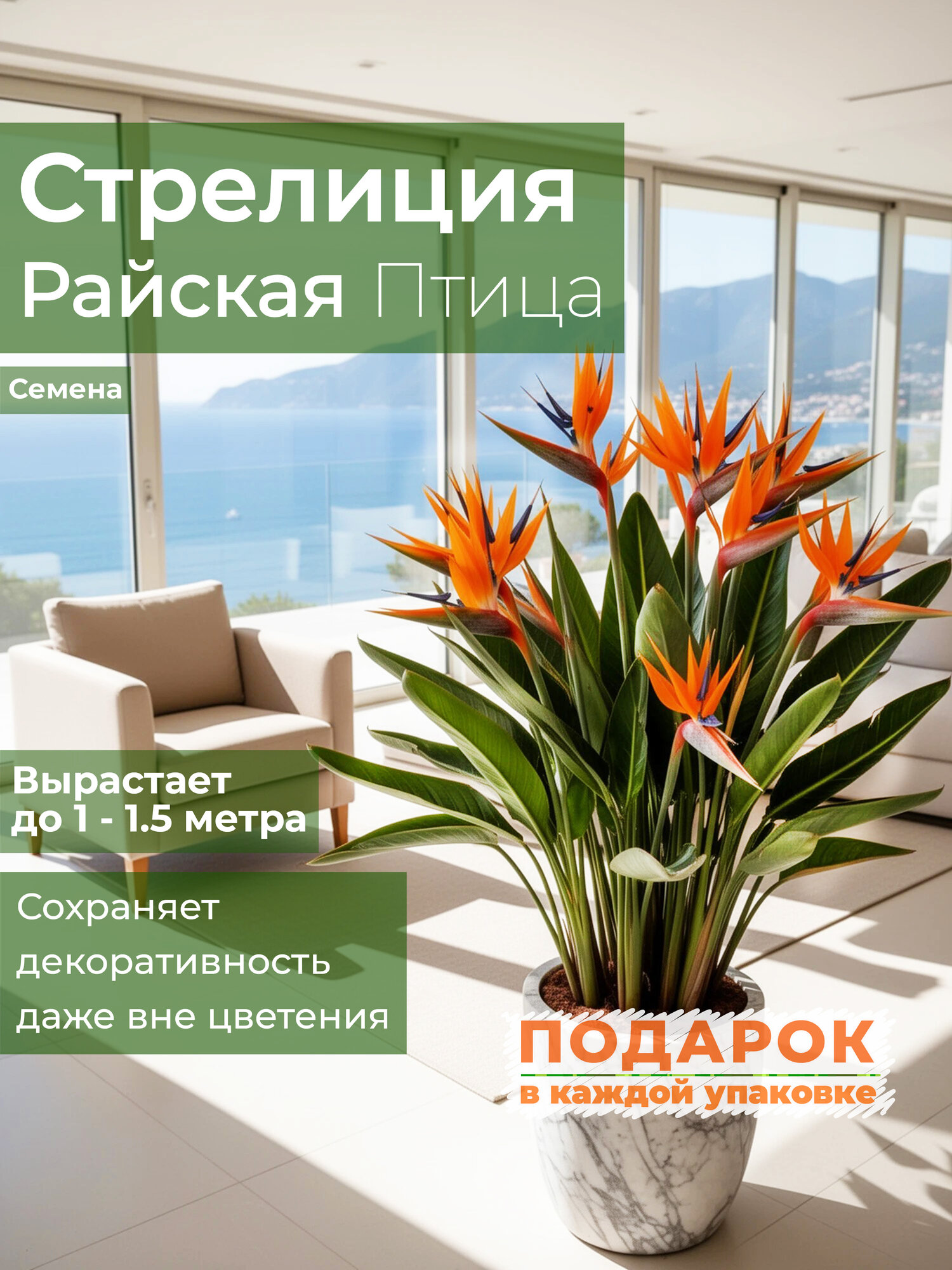 Стрелиция Райская птица, Семена, 5 шт, семена комнатных цветов