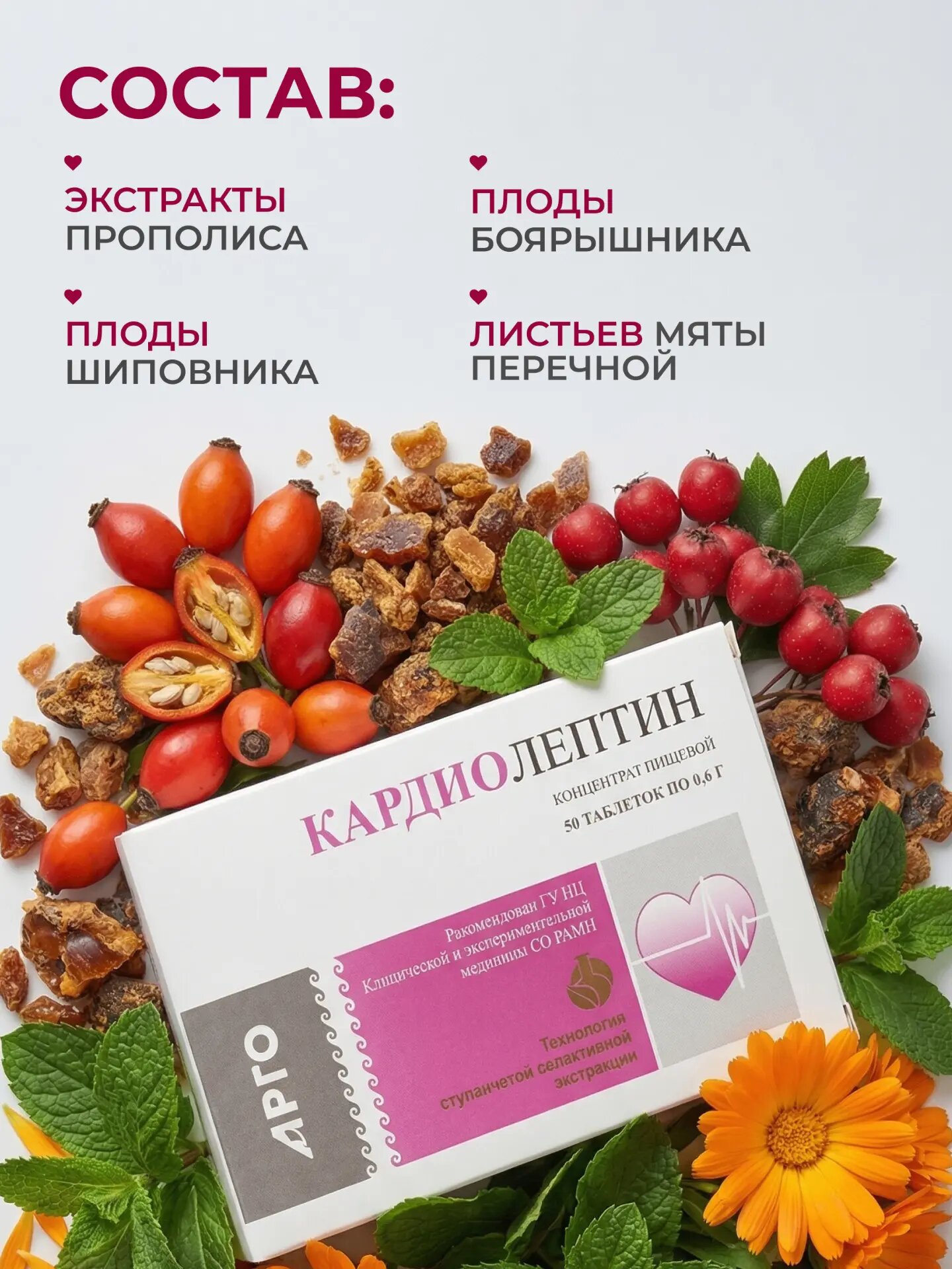 Концентрат пищевой Кардиолептин, способствует снижению артериального давления (Апифарм, арго, Россия) таблетки 50 шт. — фото 1