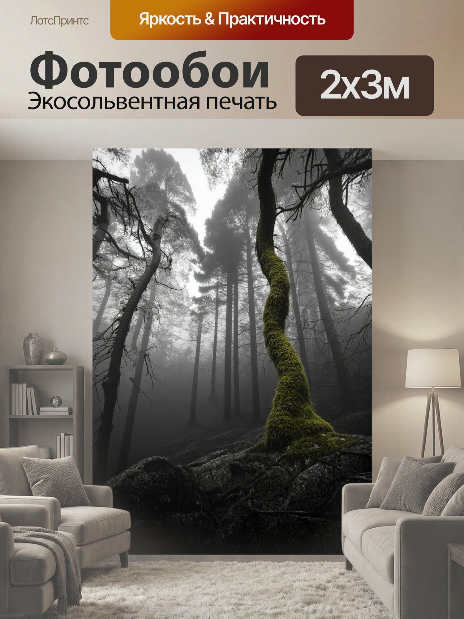 Фотообои "Черно-белая фотография леса в тумане, деревья с искривленными стволами и ветками, покрытые мхом" 200x300 см. экосольвентная печать