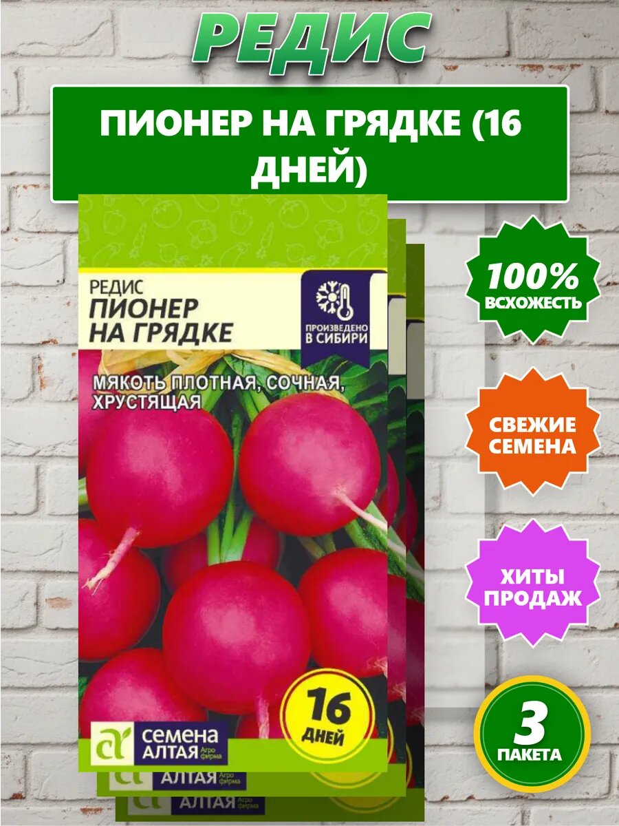 Семена редиса Пионер на Грядке (16 дней) (3 пакета) для открытого грунта, Семена Алтая