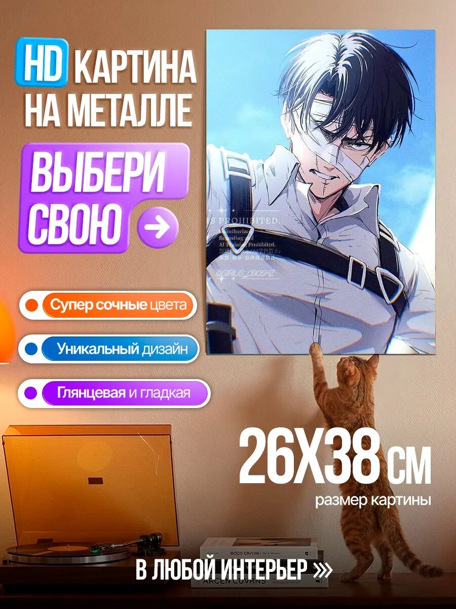 Картина на HD металле Леви Аккерман ранен