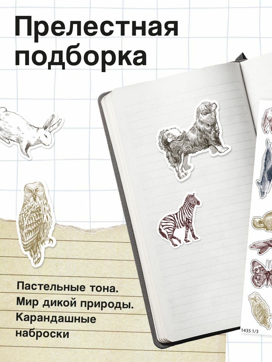 Набор наклеек, животные, для творчества, для скрапбукинга, 75 штук — фото 1