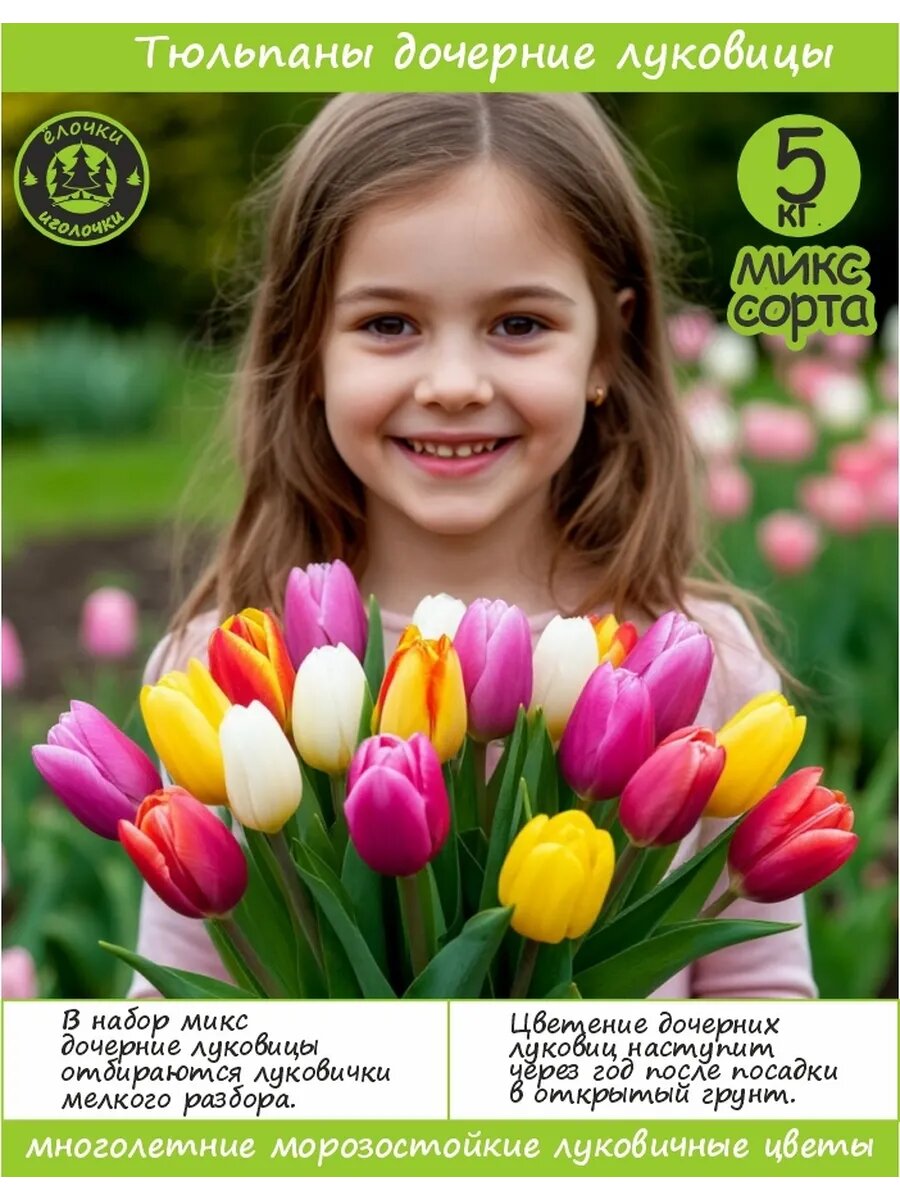 Тюльпан Луковица, дочерние, 5 кг
