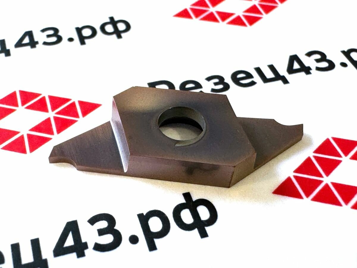 Пластина CTPA10FRN RZ6018