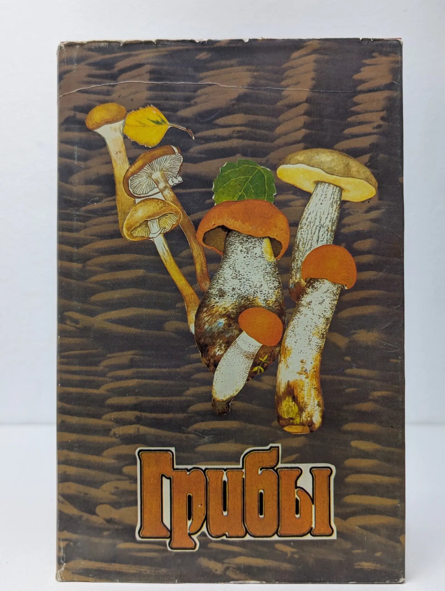 Грибы Федоров Федор 1994