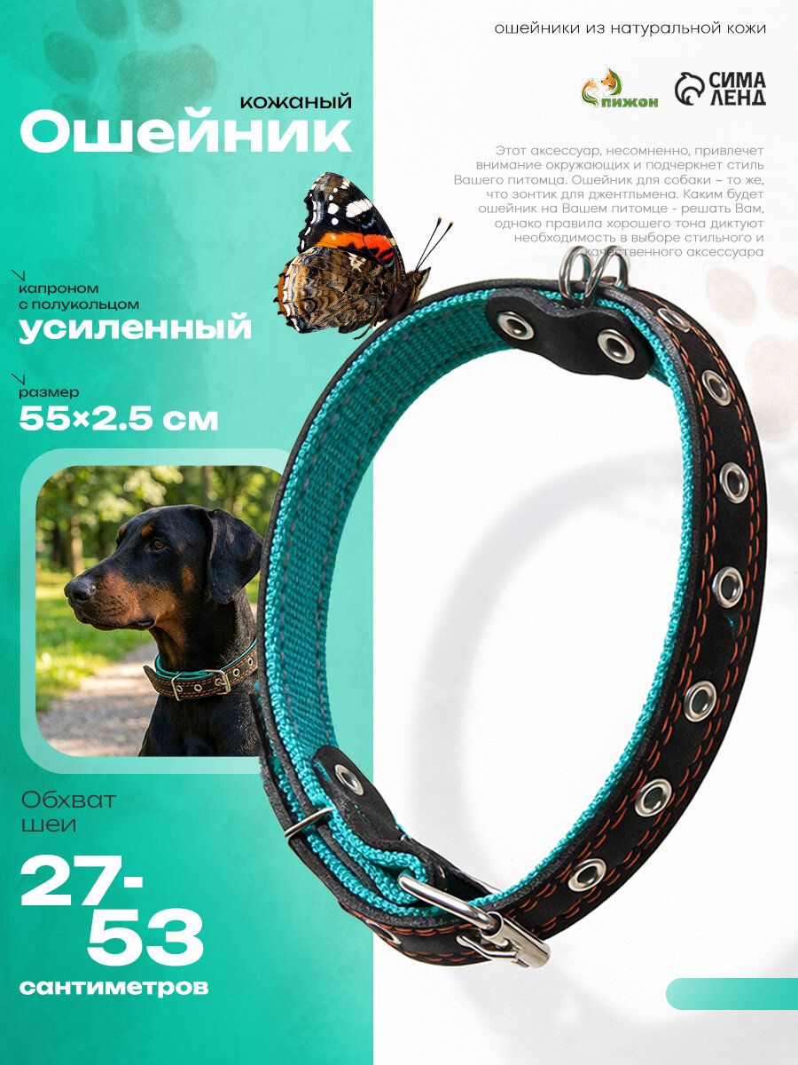 Ошейник кожаный усиленный капроном с полукольцом, 55 х 2,5 см, ОШ 27-53 см, чёрный