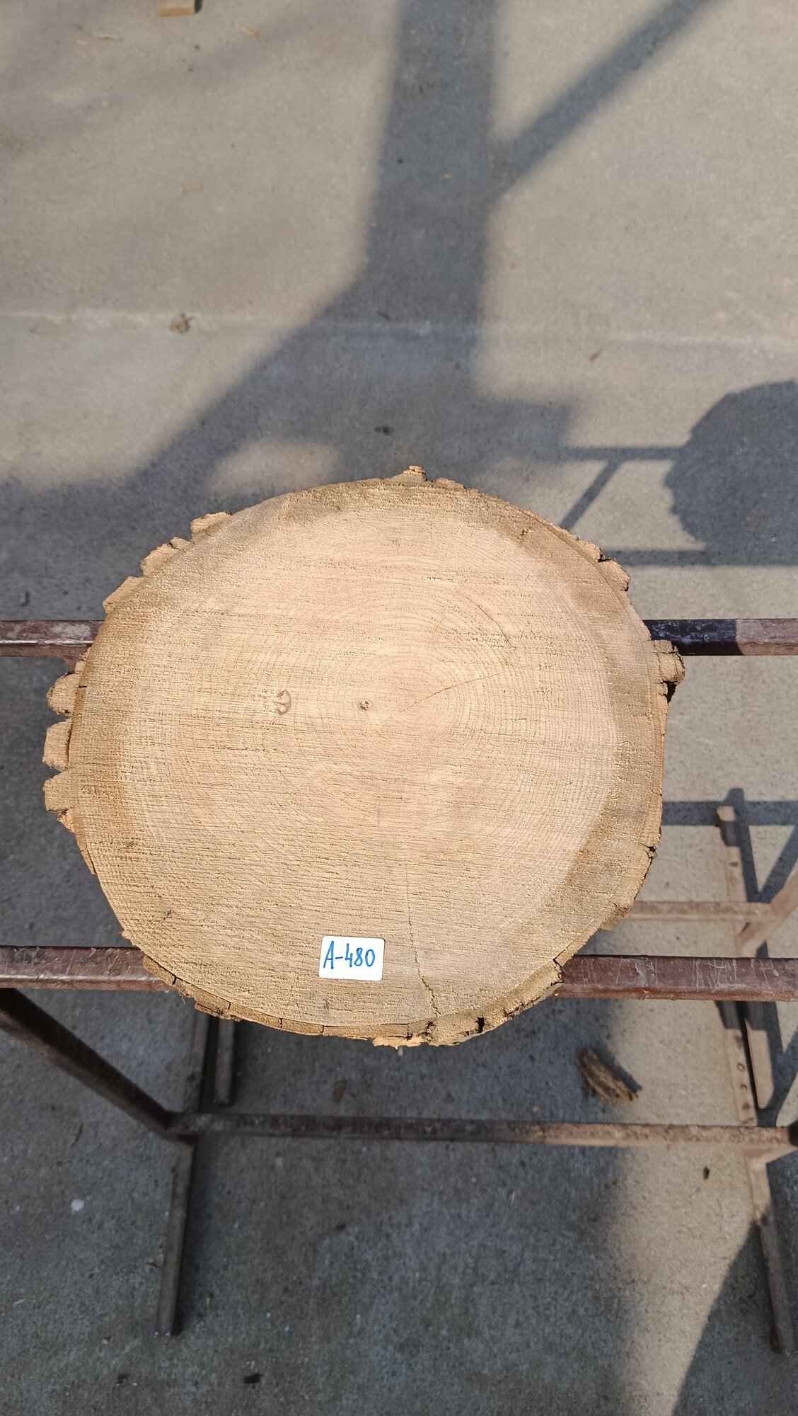 Спил из ясеня, 35х34х10см (А480) высушенный не фрезерован, влажность 8-10%