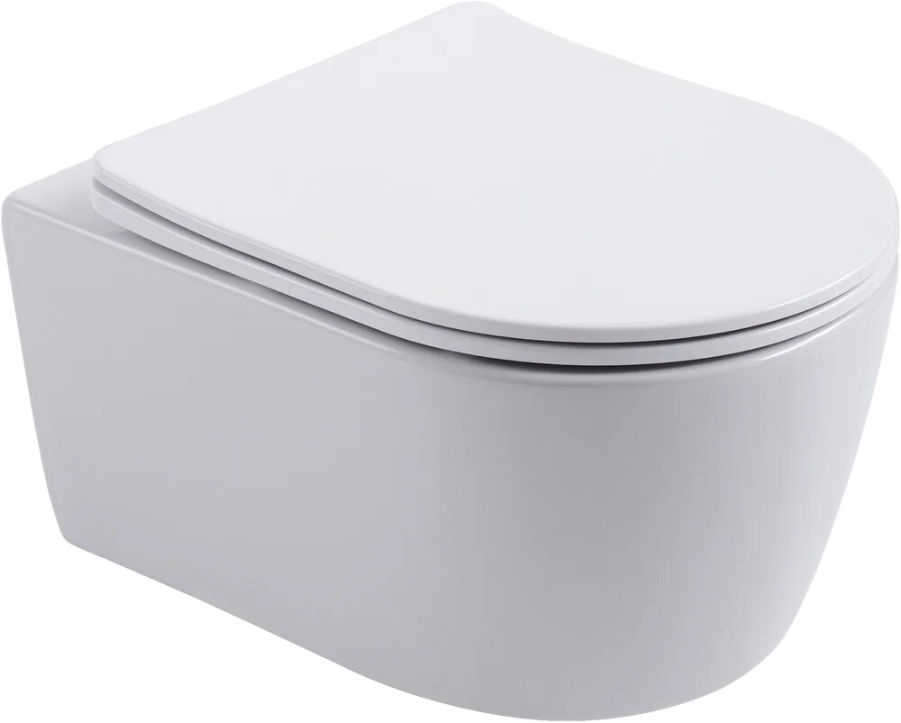 Унитаз подвесной Aquanet Смарт 276395 с микролифтом, безободковый, без бачка, фаянсовый, белый, глянцевый, овальный, сиденье для унитаза в комплекте