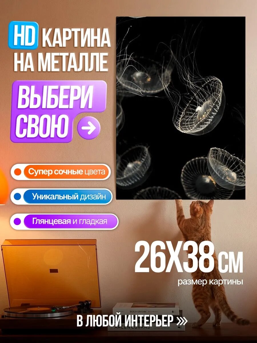 Картина на HD металле Медузы в темноте