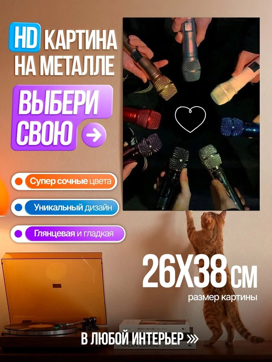 Картина на HD металле микрофоны в круге