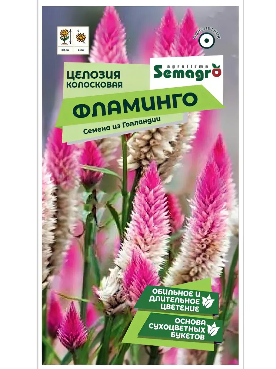 Семена цветов целозия колосковая Фламинго