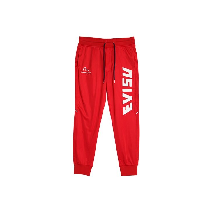 Брюки спортивные Evisu