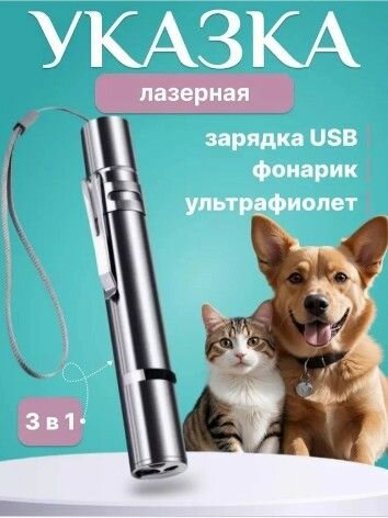 Лазерная указка для кошек и собак с USB зарядкой и фонариком