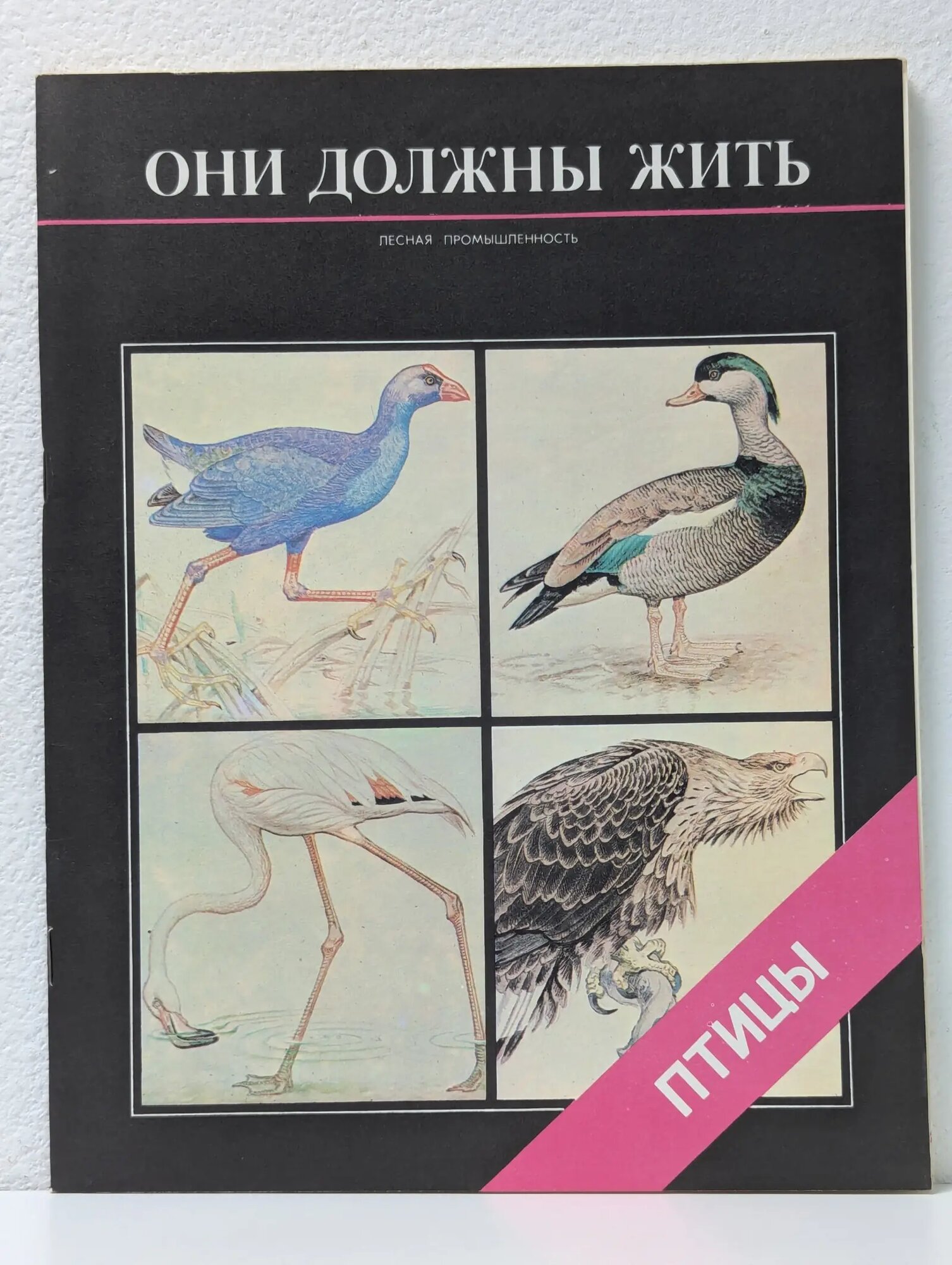 Они должны жить. Птицы. Альбом Сборник 1984