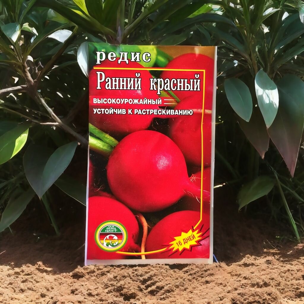 Семена редиса "Ранний красный", высокоурожайные, 16 дней, ультраскороспелые