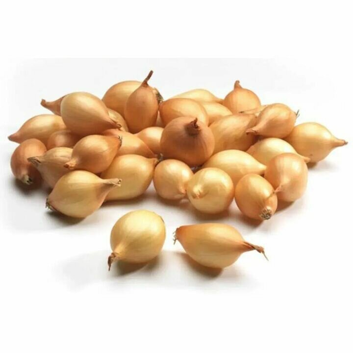 Лук- севок Стурон, 0,5кг. — фото 1