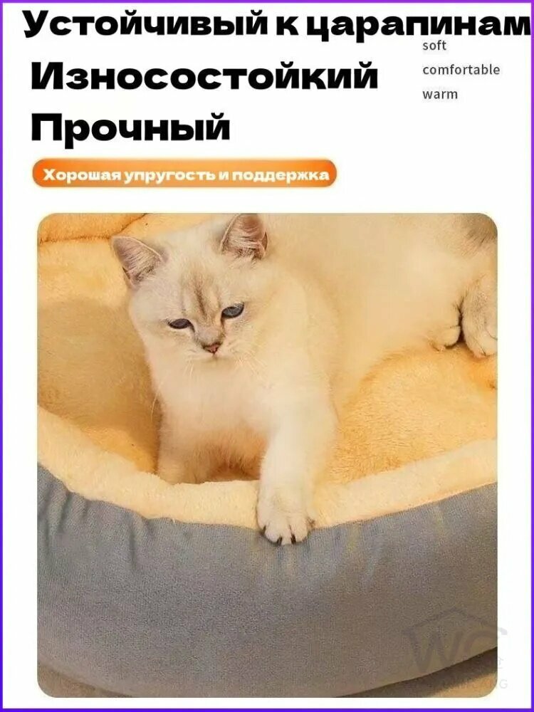 Кошачья лежанка — фото 1