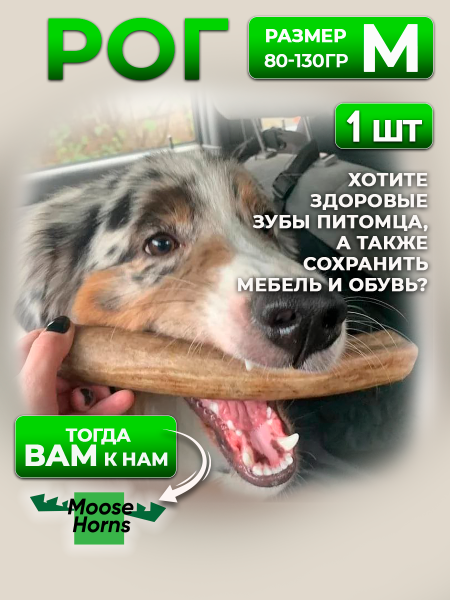 Рог для собак MOOSE HORNS, натуральный, размер М, для разных пород