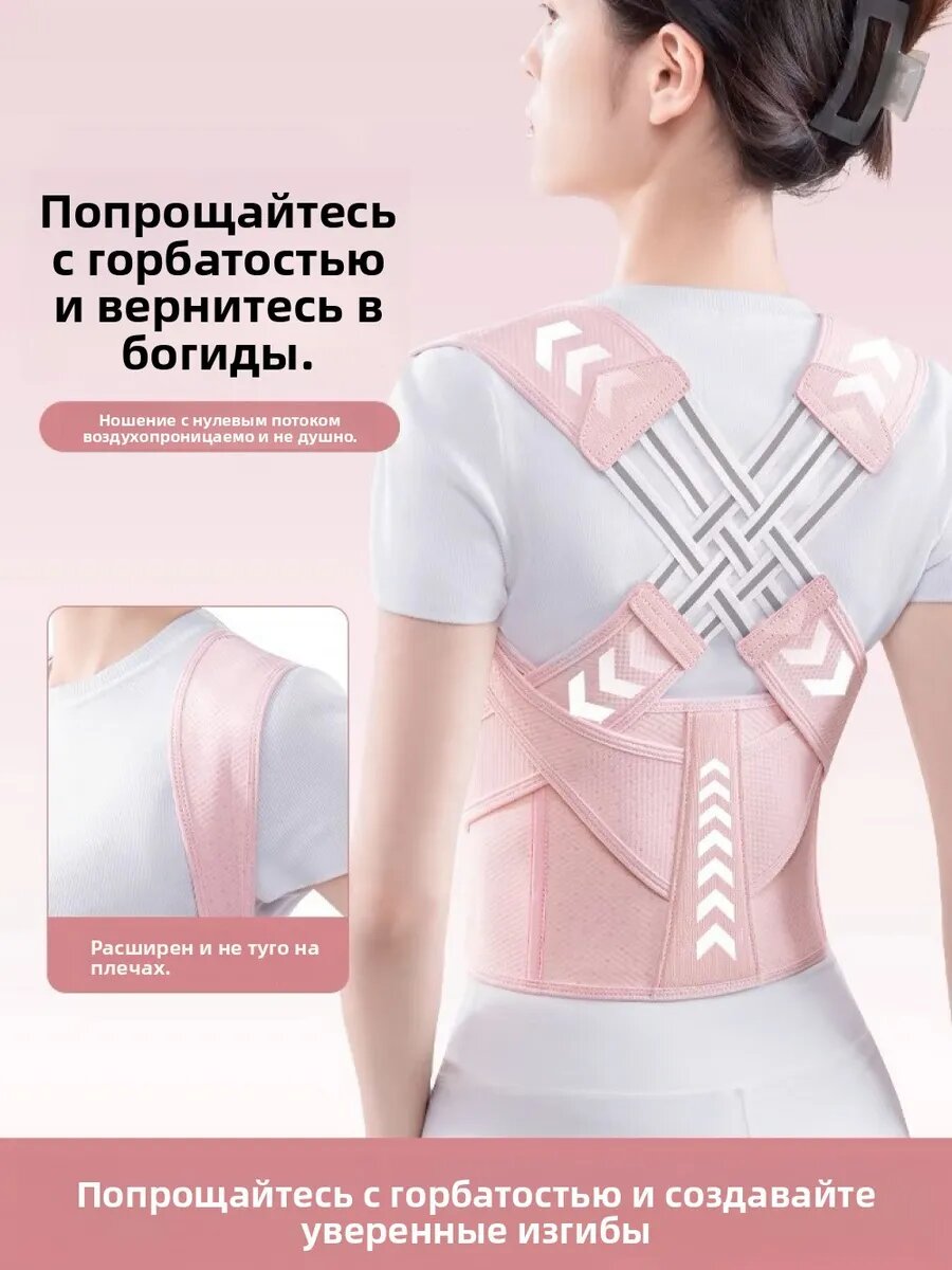Боди