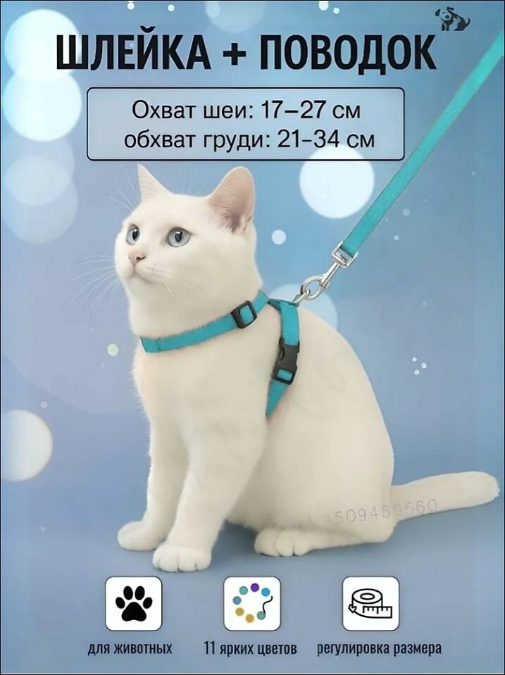 Шлейка с поводком для кошек, котов, котят, собак мелких пород, щенков и кролика, прогулочная регулируемая цвет голубой