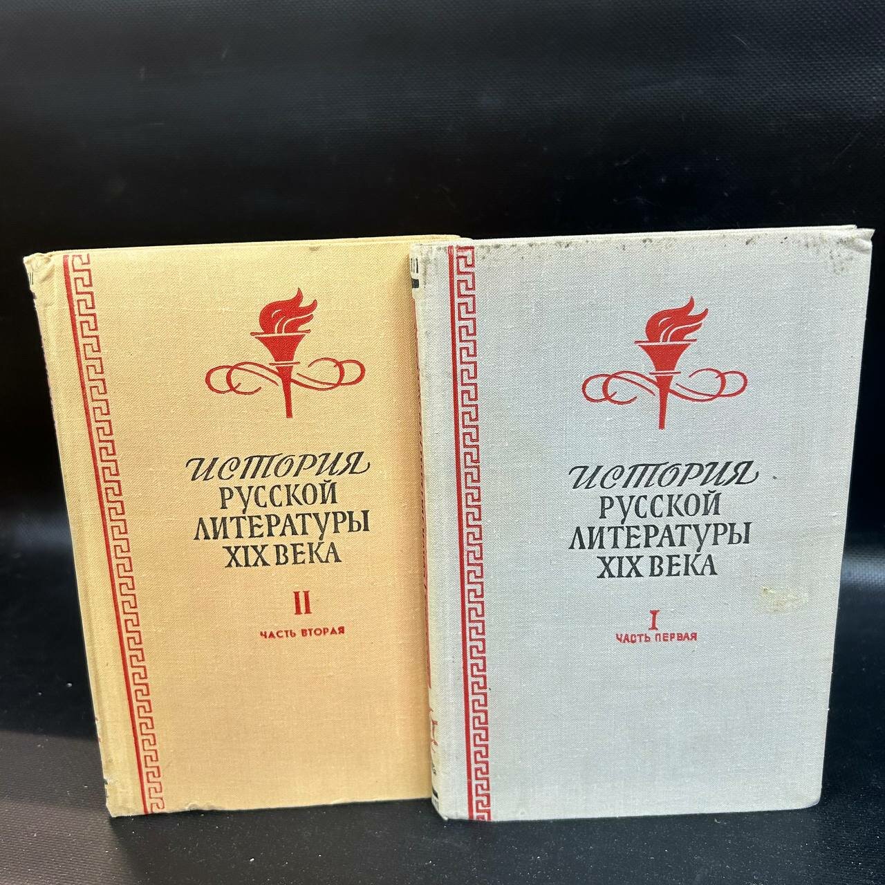 История русской литературы XIX века. В двух томах