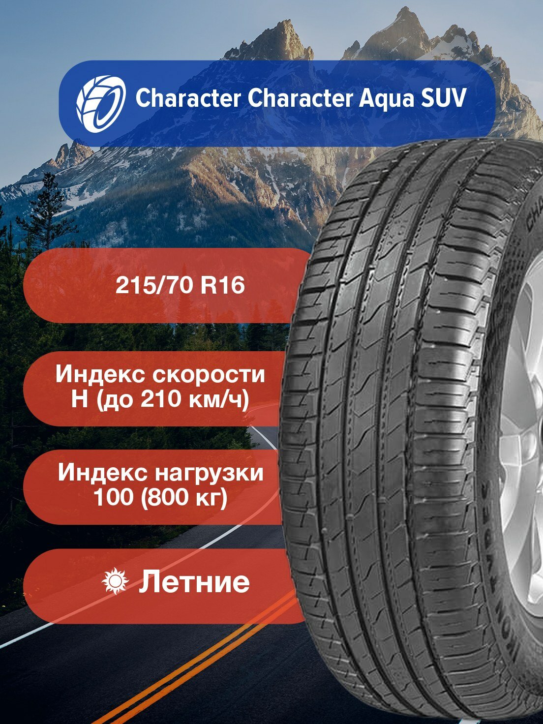 Легковые Летние Шины Ikon Character Aqua SUV 215/70 R16 100H-T743125 для легковых автомобилей и кроссоверов