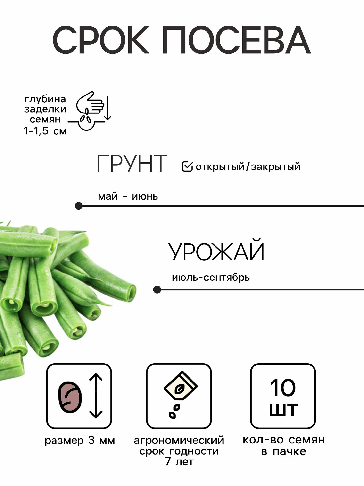 Семена Фасоль "Уральский дачник", овощная, 10 шт, место выращивания: открытый грунт