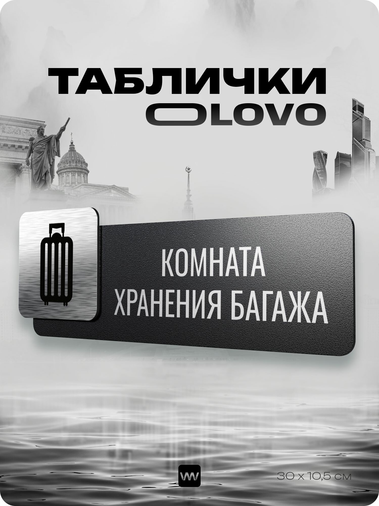Табличка "Комната хранения багажа" на дверь, для офиса, общественного места, серия OLOVO/олово SLV, Айдентика Технолоджи
