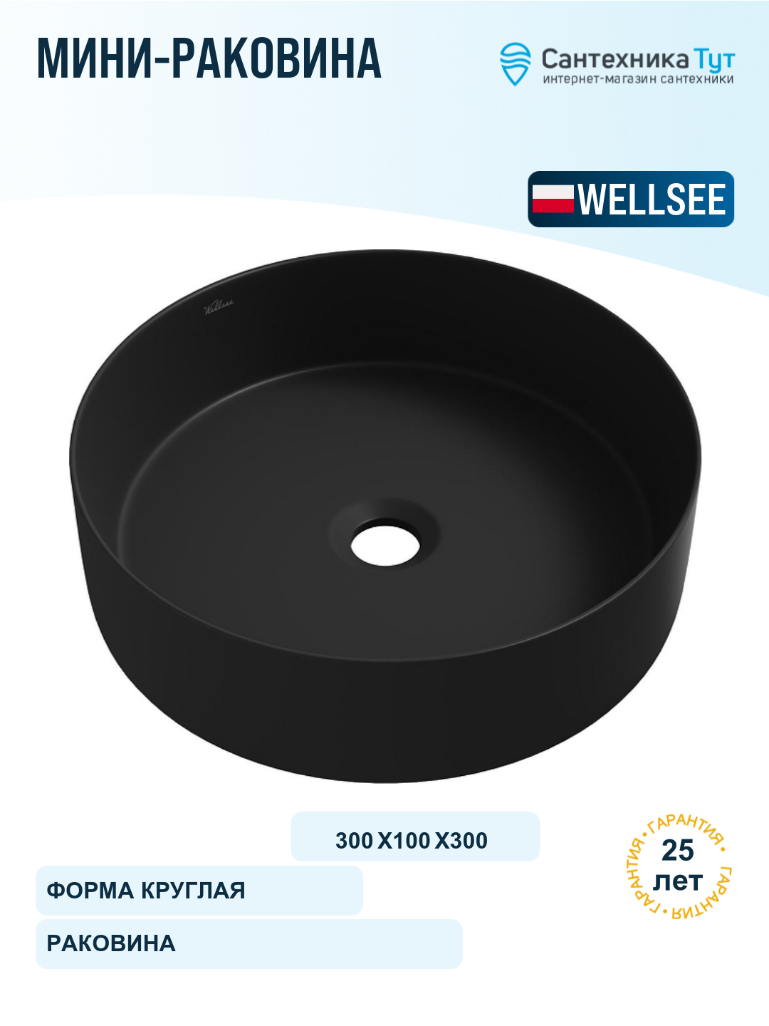 Раковина-чаша Wellsee Coax 30 323505000 цвет Черный матовый