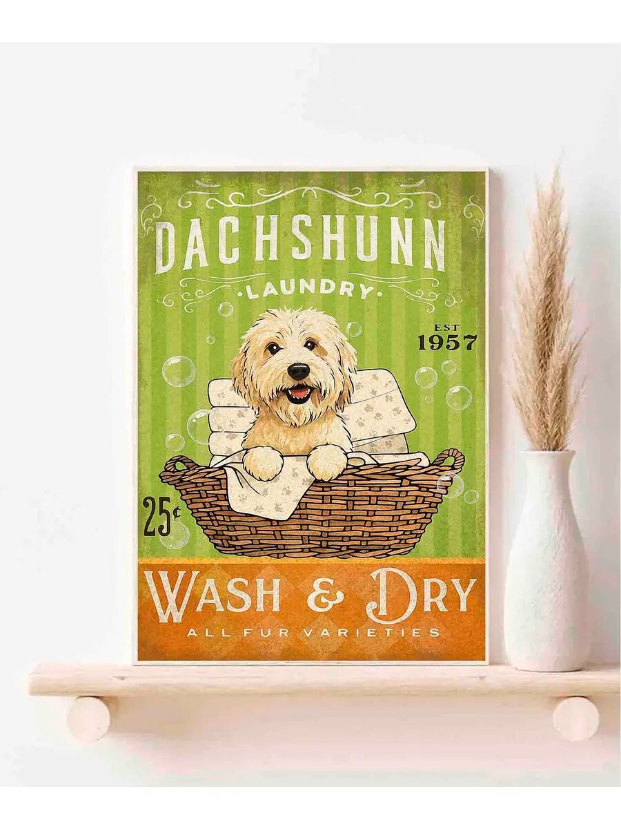 Мягкошерстный пшеничный терьер, Wash & Dry All Fur Varietie