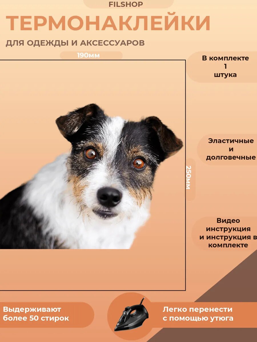 Термонаклейка на одежду