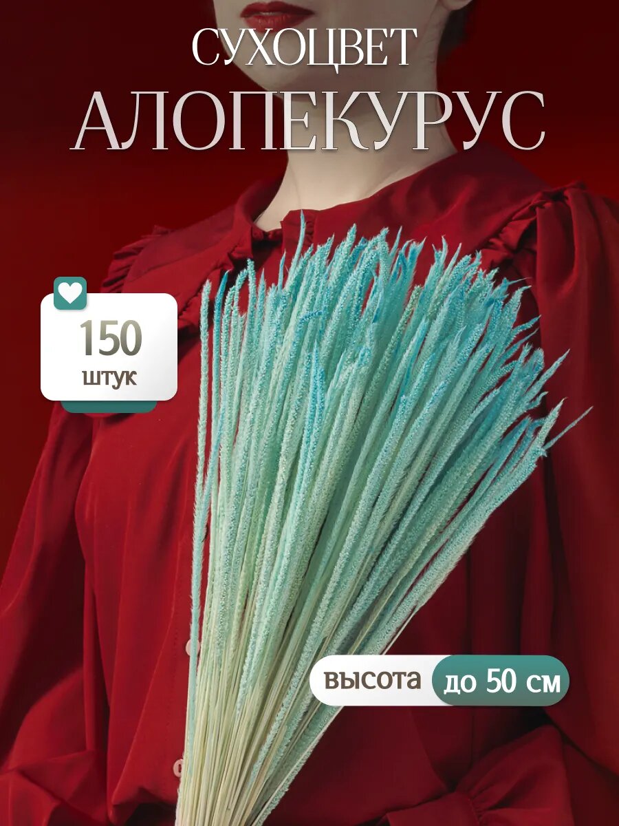 Сухоцветы elka.bio, Алопекурус бирюзовый, для декора, 50 см, 150 шт