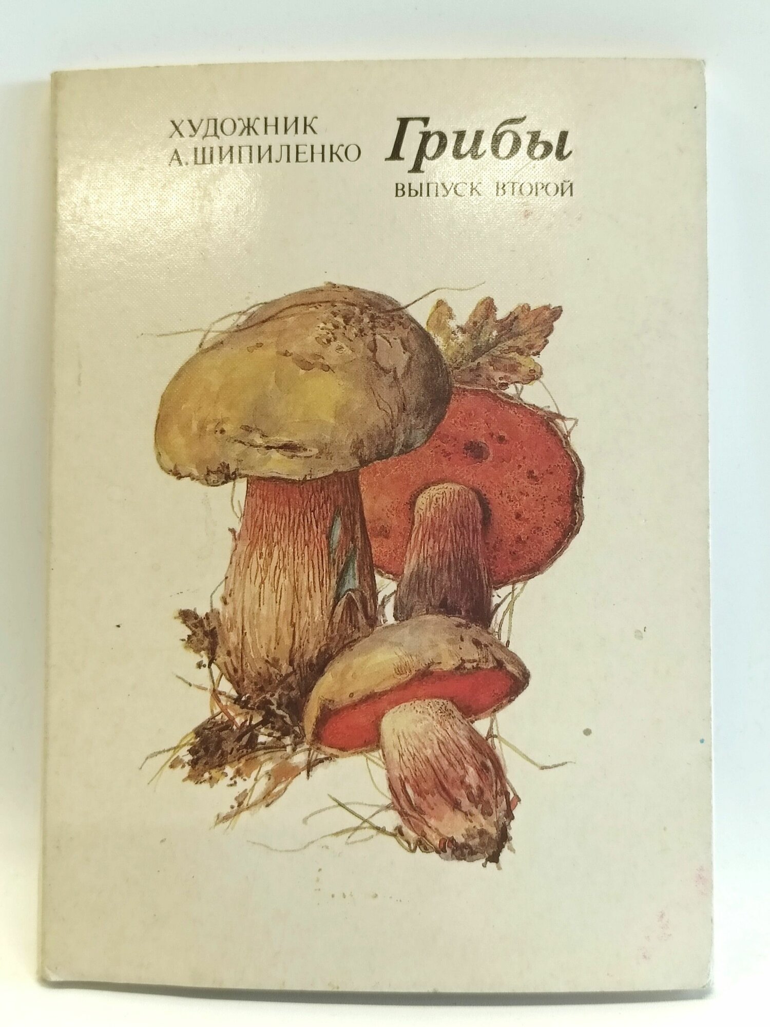 Грибы. Выпуск второй