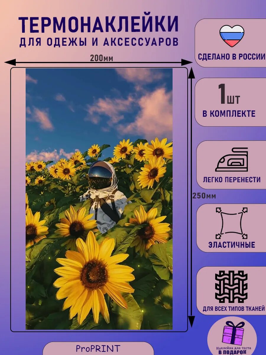 Термонаклейка для одежды