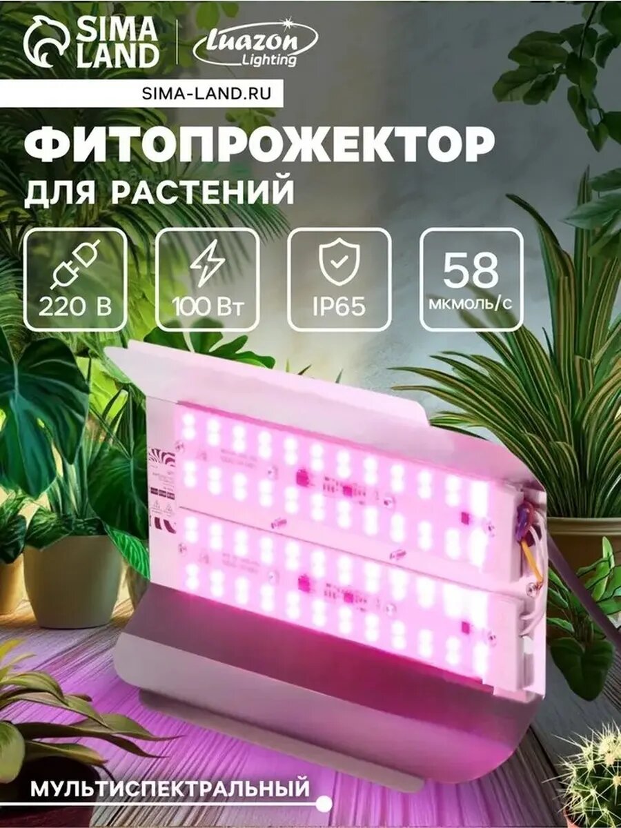 Энергичный свет для роста растений