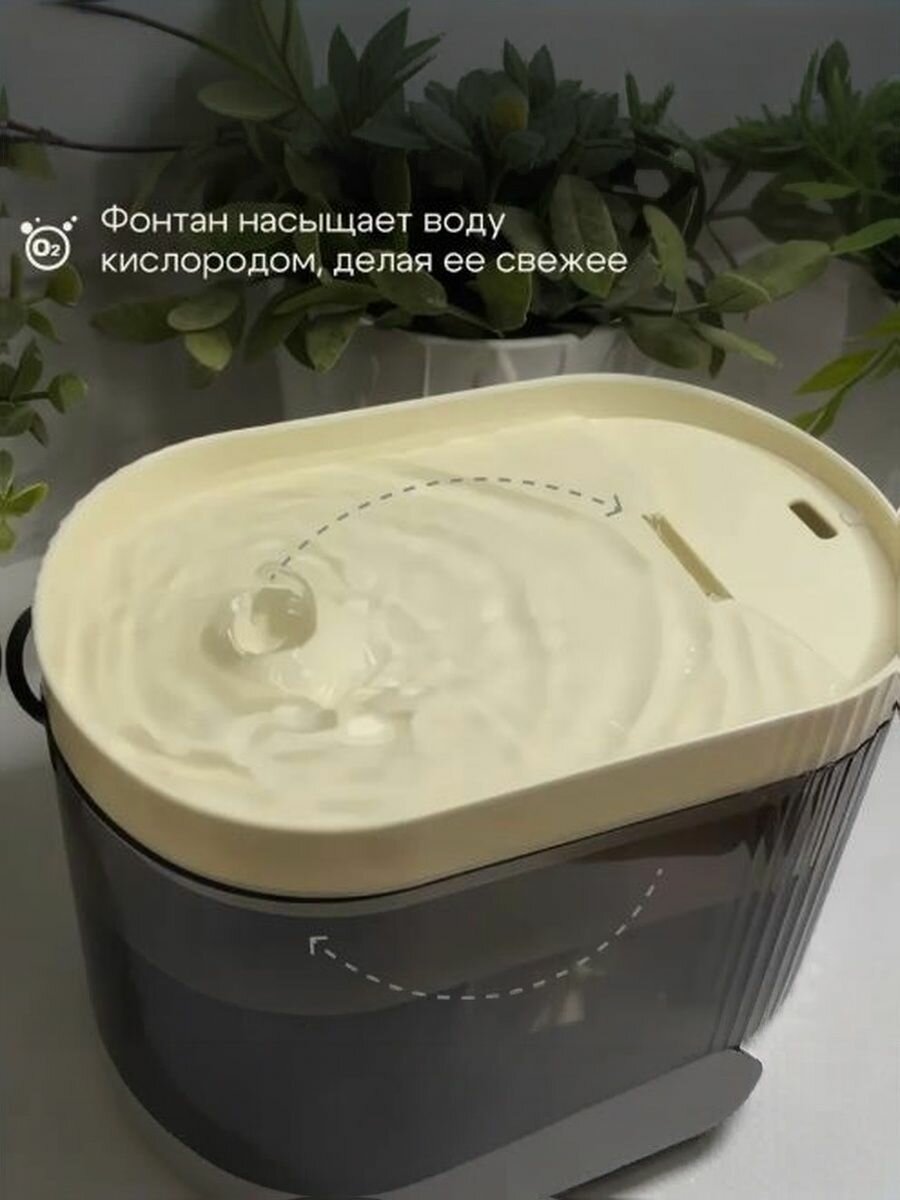 Автоматическая поилка для кошек