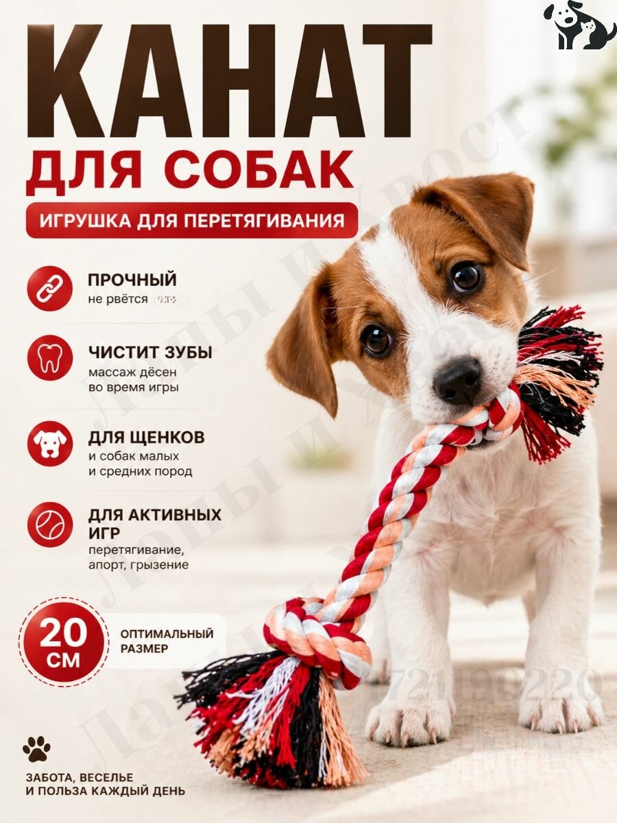 Игрушка веревка для собак и щенков / плетеный канатик для животных, грызак для мелких и средних пород / разноцветный, 20см