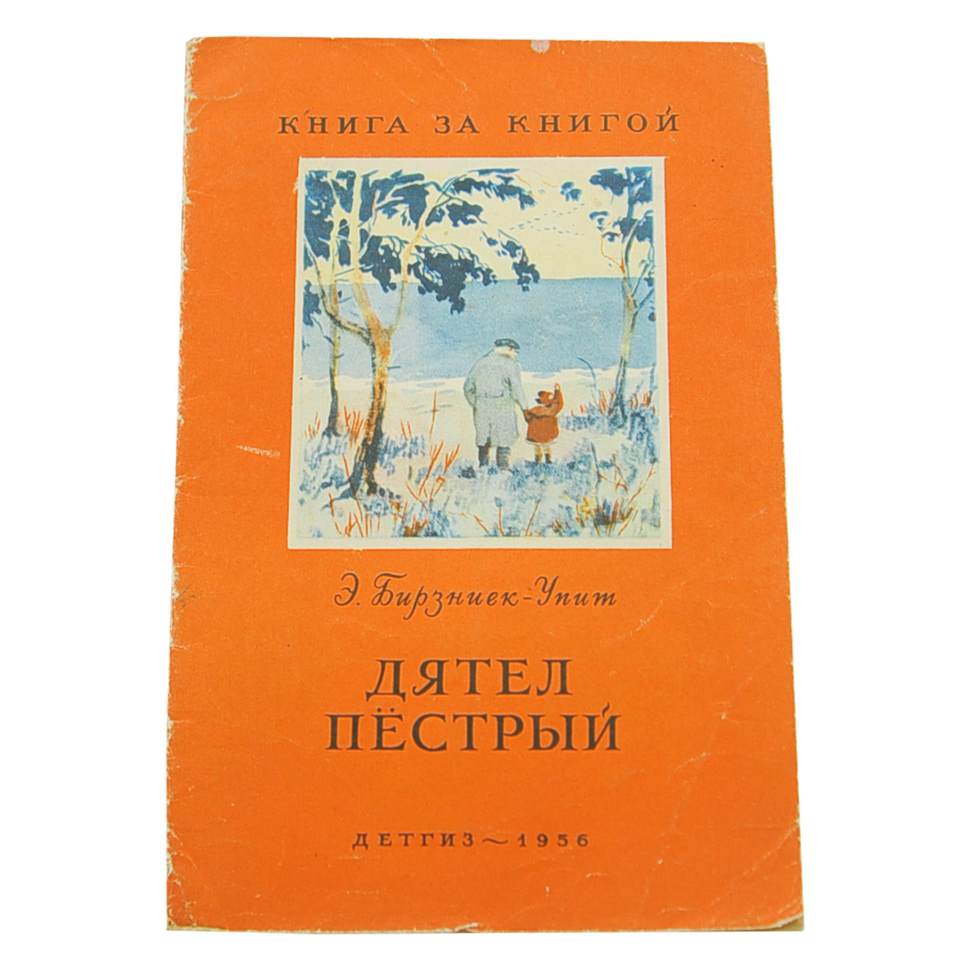 Дятел пестрый.