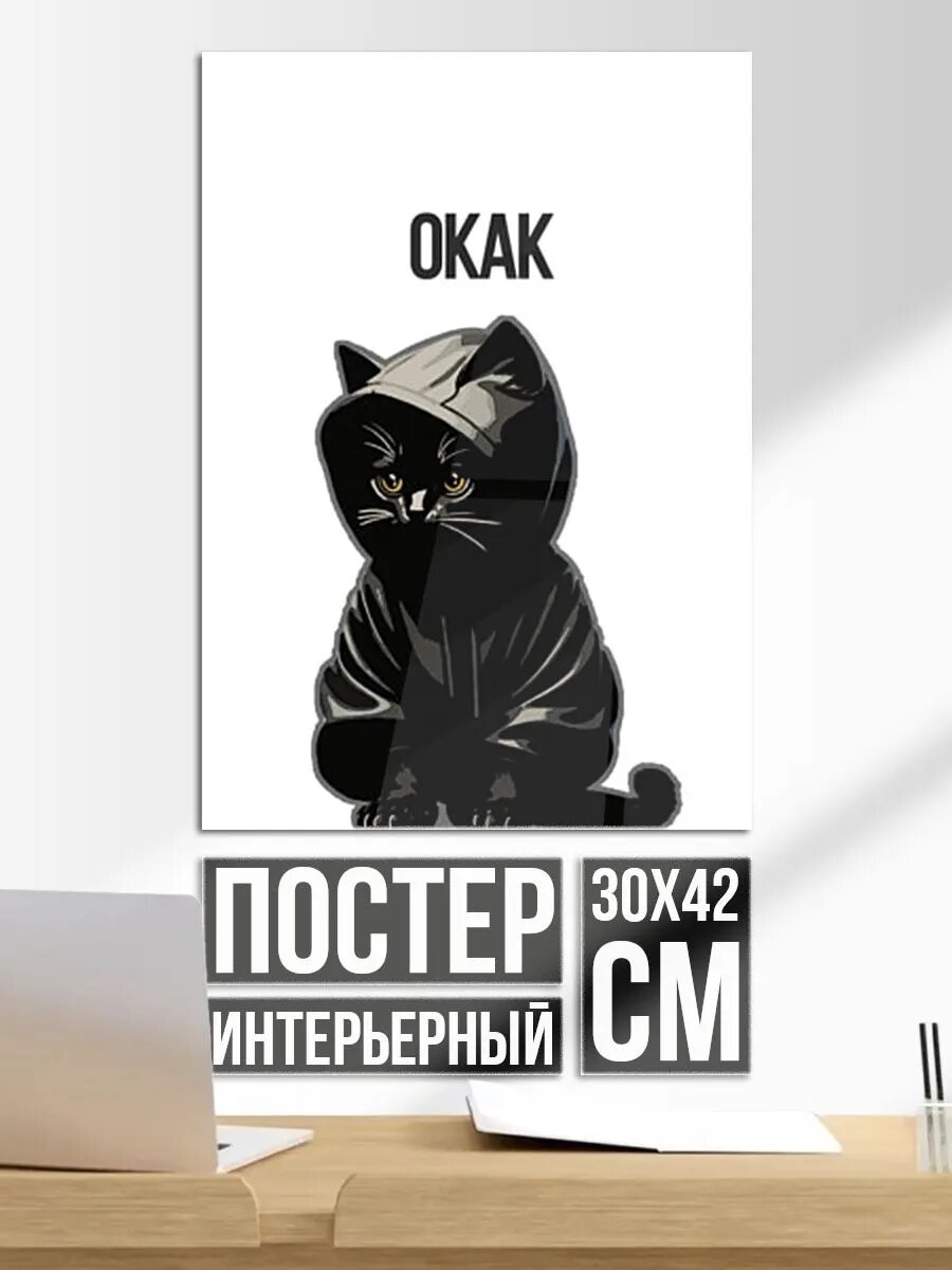 Постер на стену Окак-кот мем