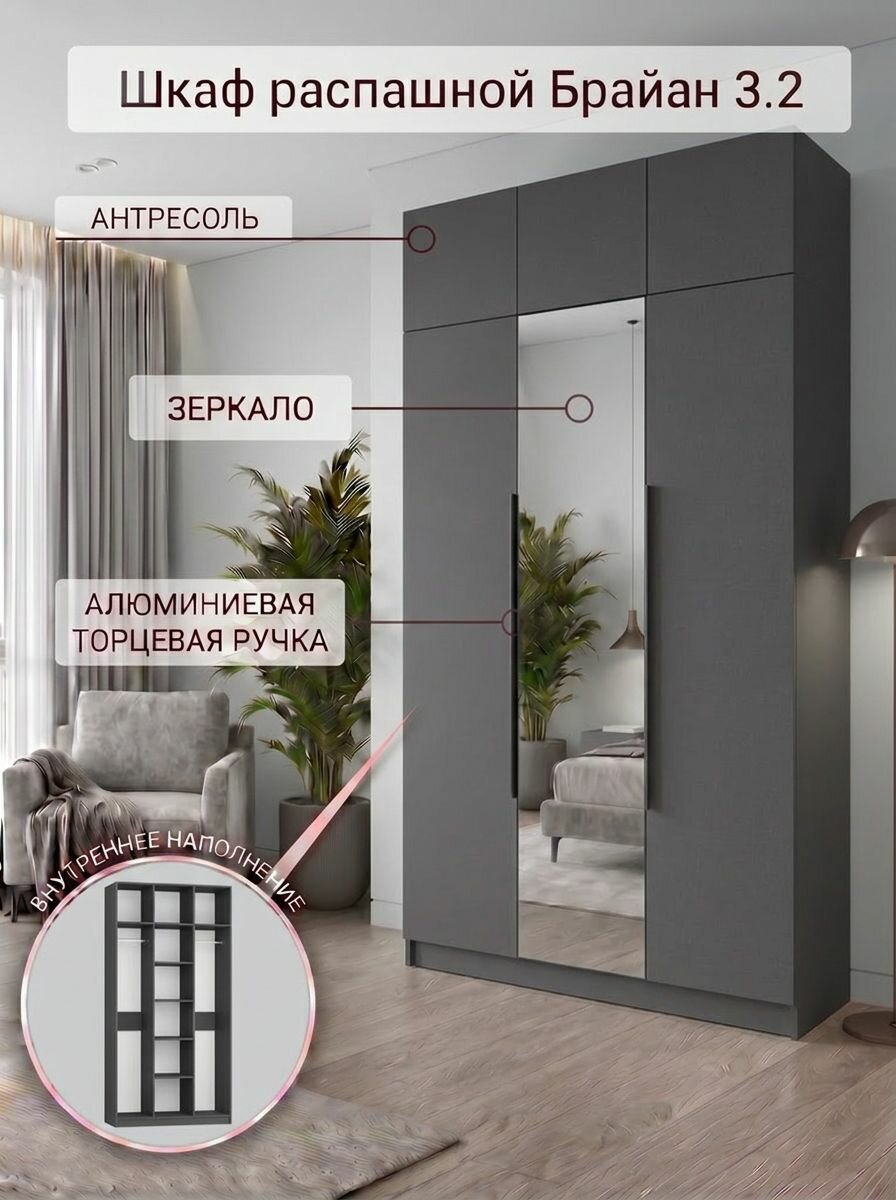 Распашной шкаф с зеркалом Брайан 3 140-55-230 графит платье-белье-платье