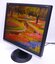 Монитор 19" Viewsonic VA926