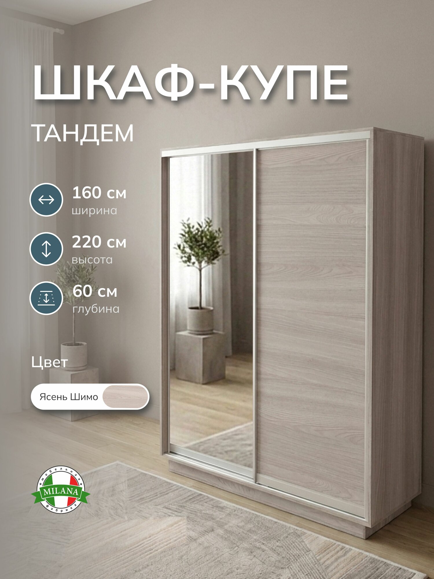 Шкаф купе с зеркалом Тандем, 2 двери, Ясень Шимо светлый, 160х60х220 см