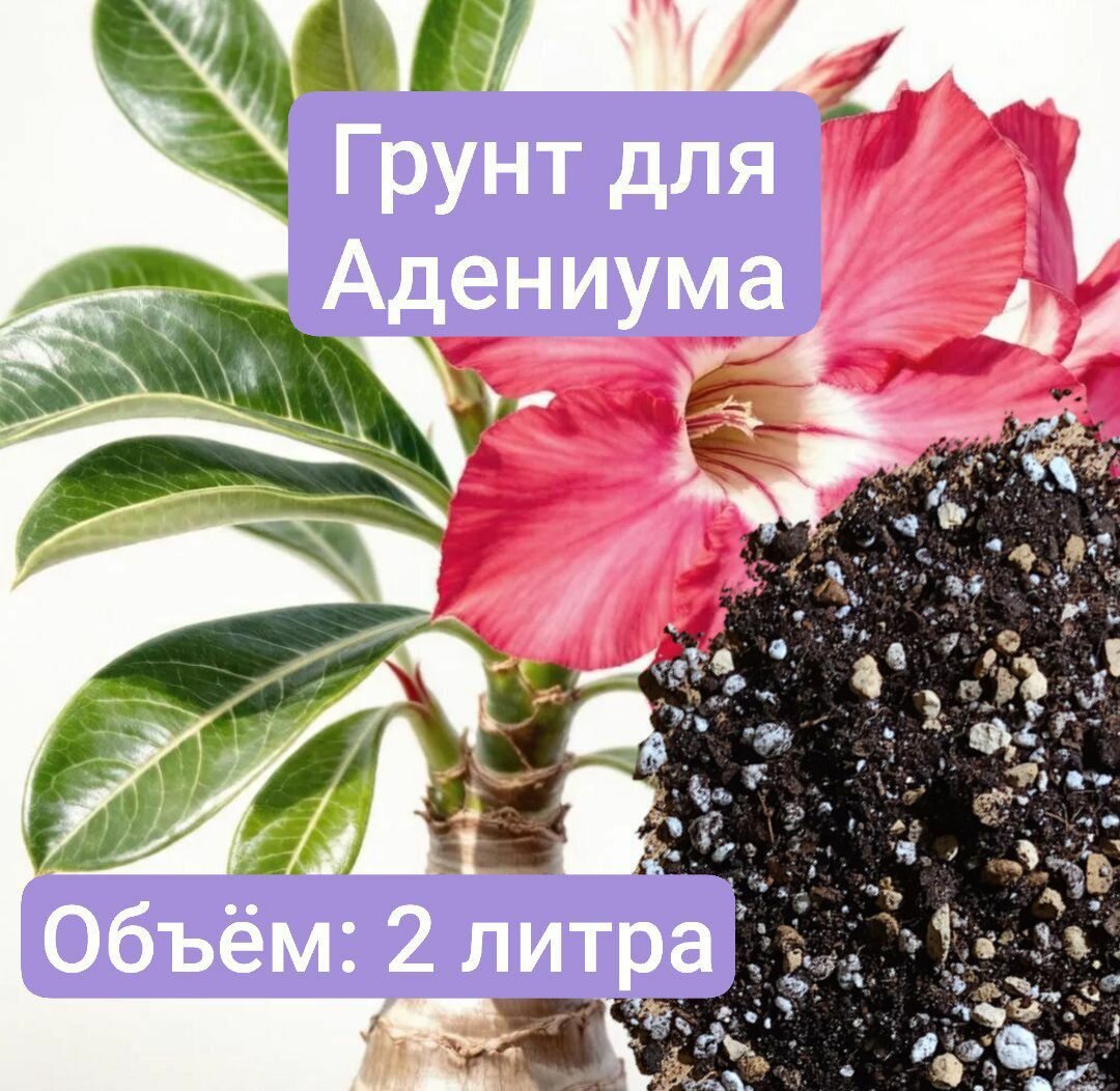 Грунт для Адениумов Универсальный, 2 литра для Адениумов 2 литра