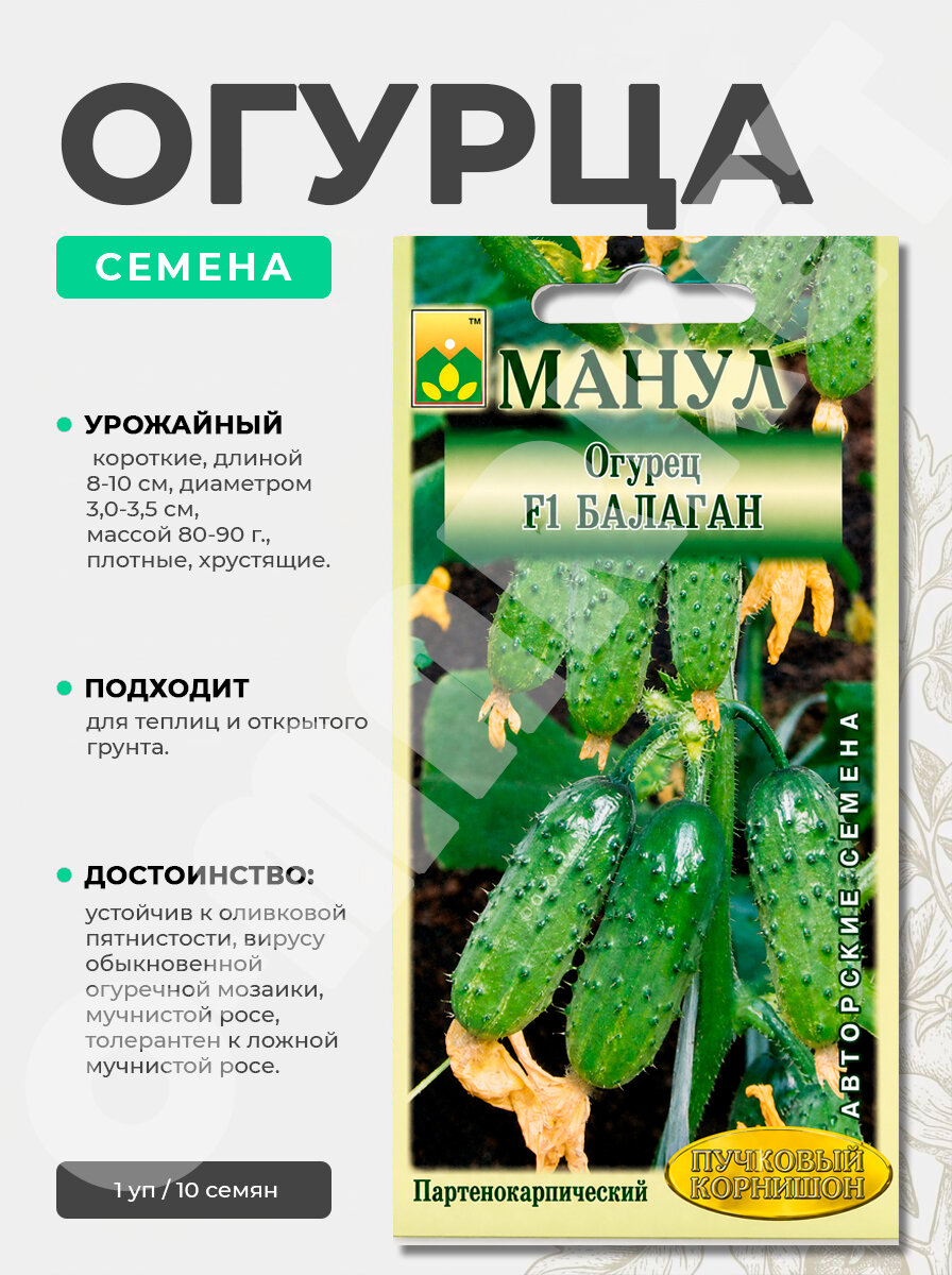 Огурцы корнишоны семена, самоопыляемые для открытого грунта, F1 Балаган , Агрофирма Манул