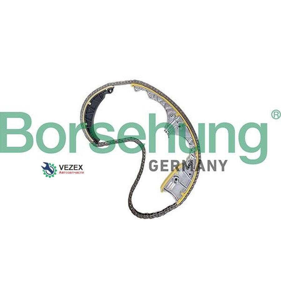 BORSEHUNG B12964 Цепь привода масляного насоса