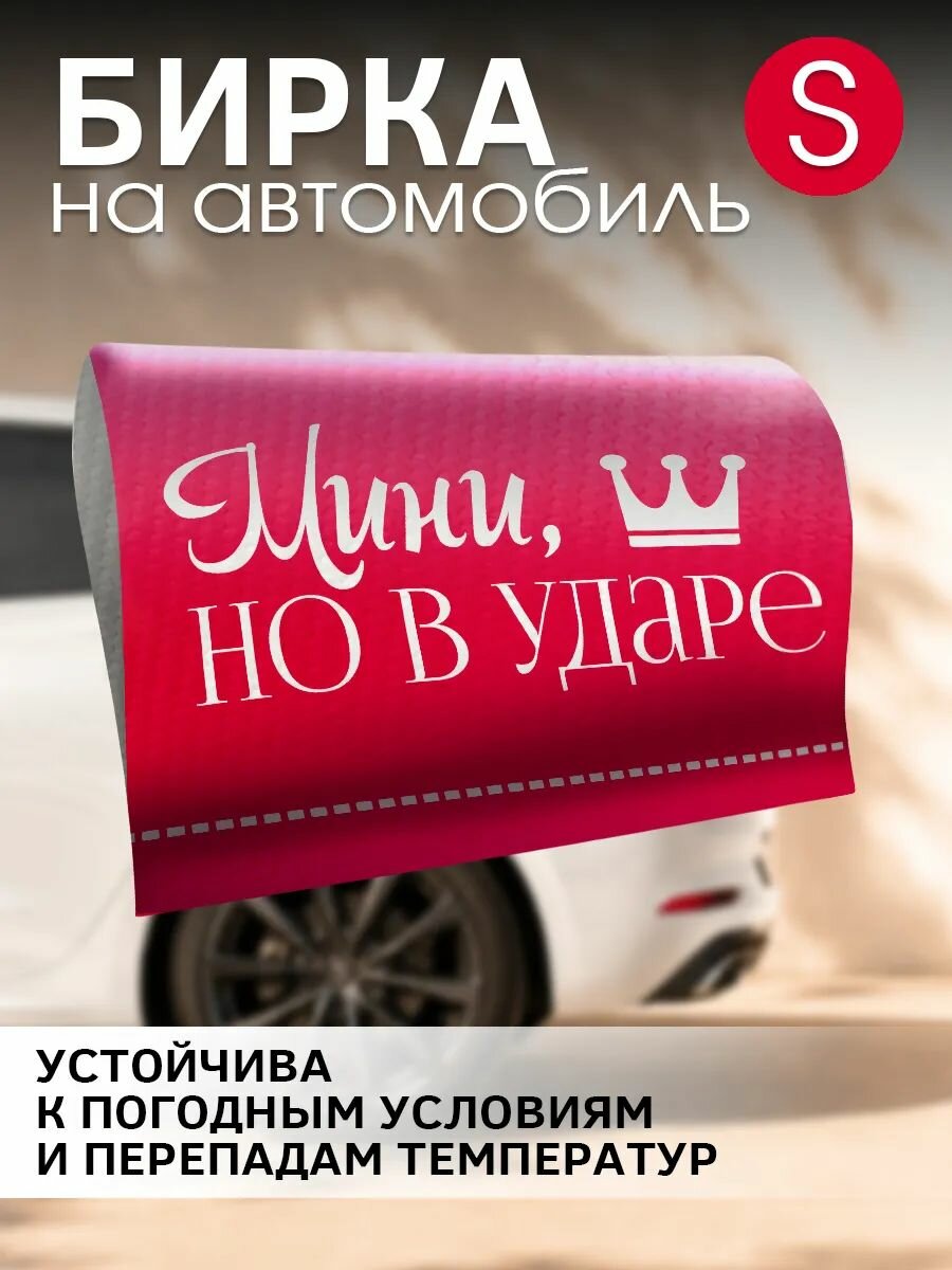 Бирка на авто надписи Мини, но в ударе